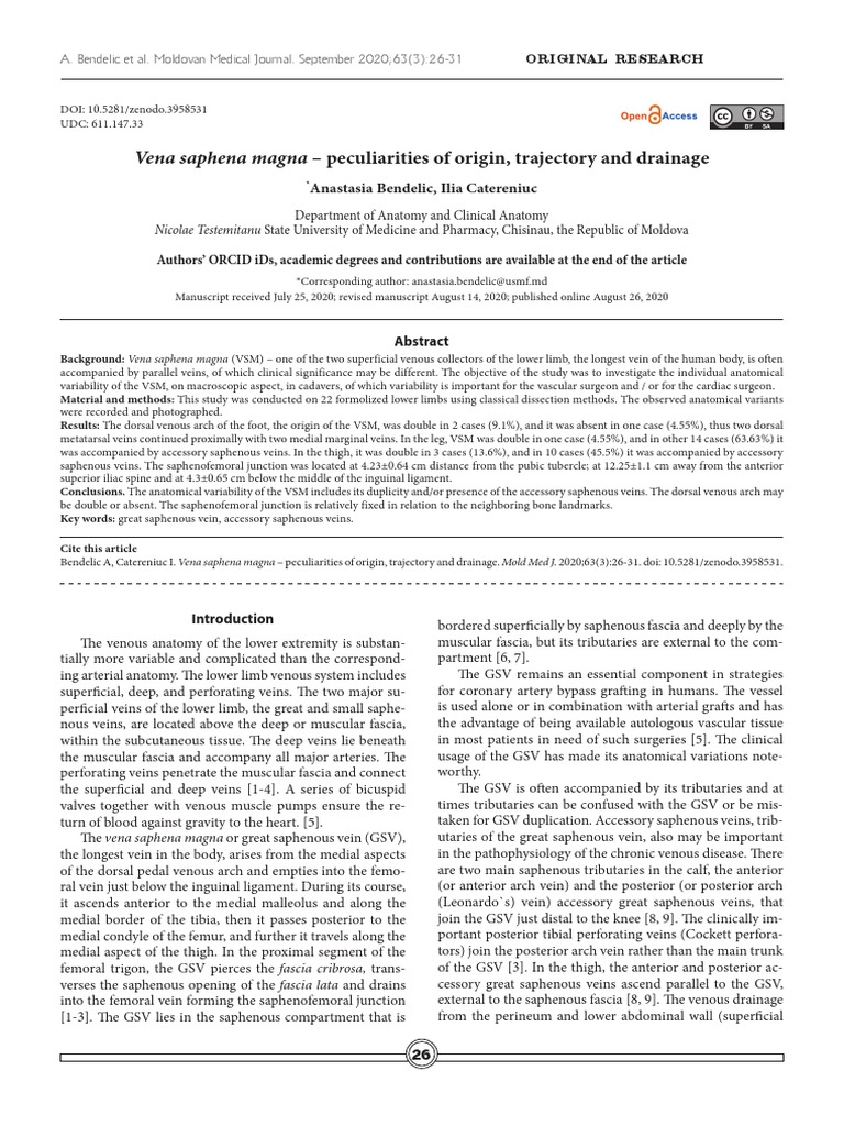 Vena Saphena Magna Peculiarities of Origin Trajectory and Drainage ...