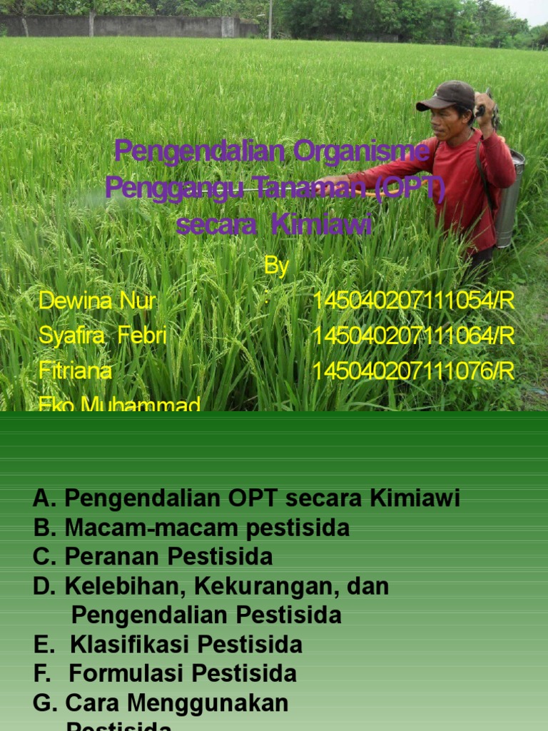 Pengendalian OPT dengan Pestisida Kimiawi | PDF