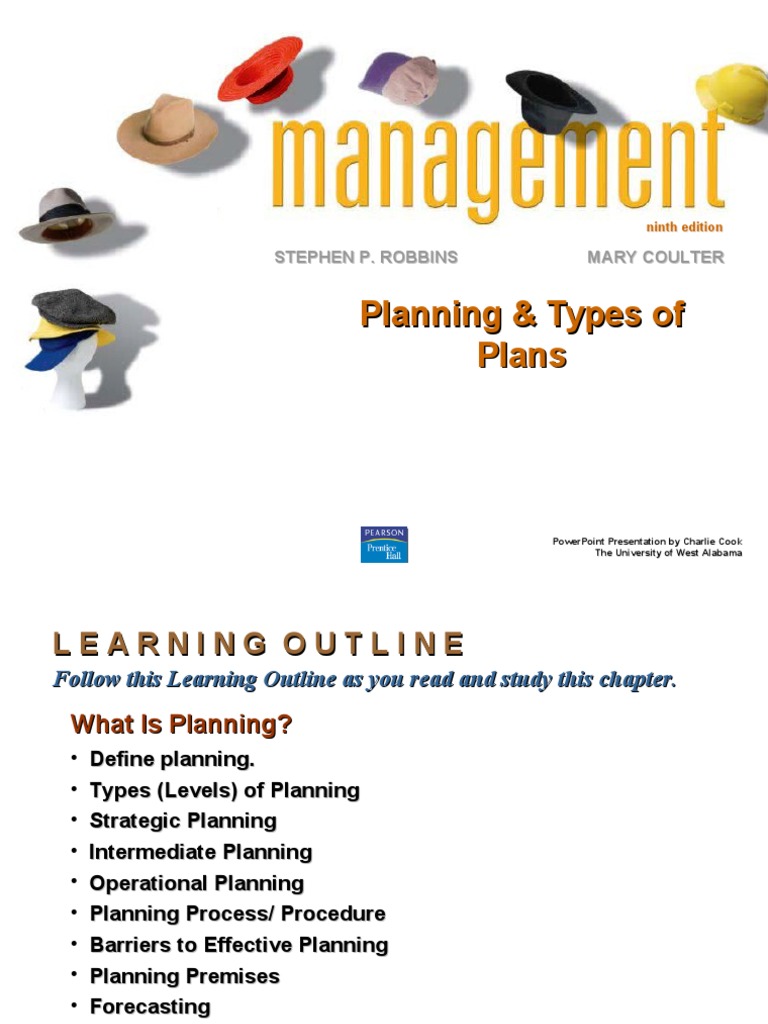 Types of Planning | PDF