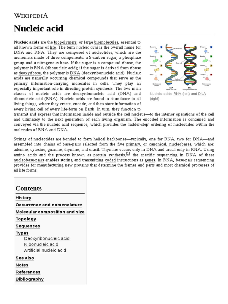 Nucleic Acid: Nucleic Acids Are The Biopolymers, or Large Biomolecules ...