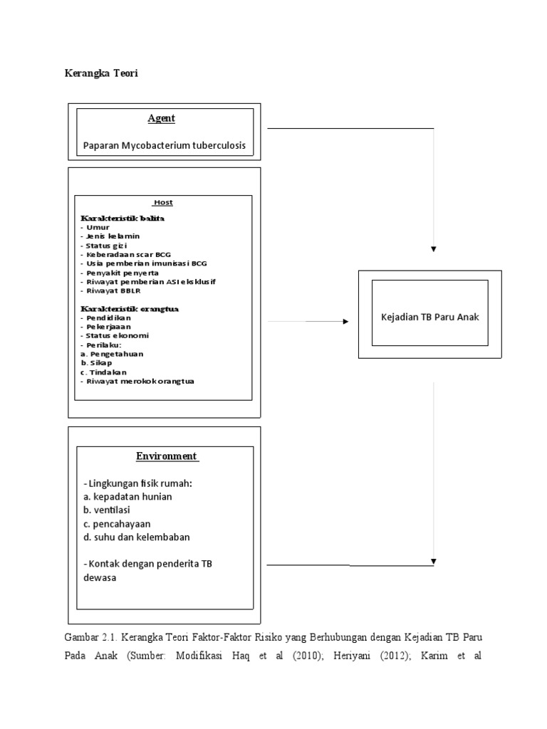 Kerangka Teori Faktor Risiko TB Paru | PDF