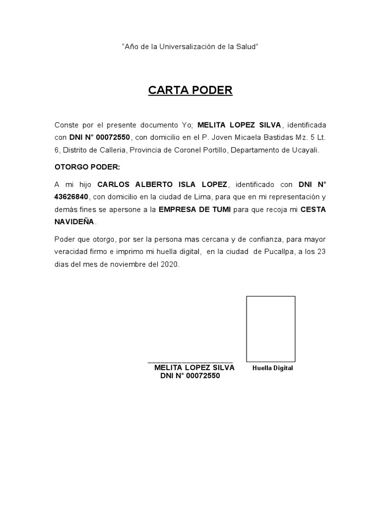 Carta Poder 2020 | PDF