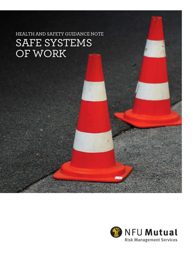 Safe Systems of Work: Health and Safety Guidance Note | PDF | Risk ...