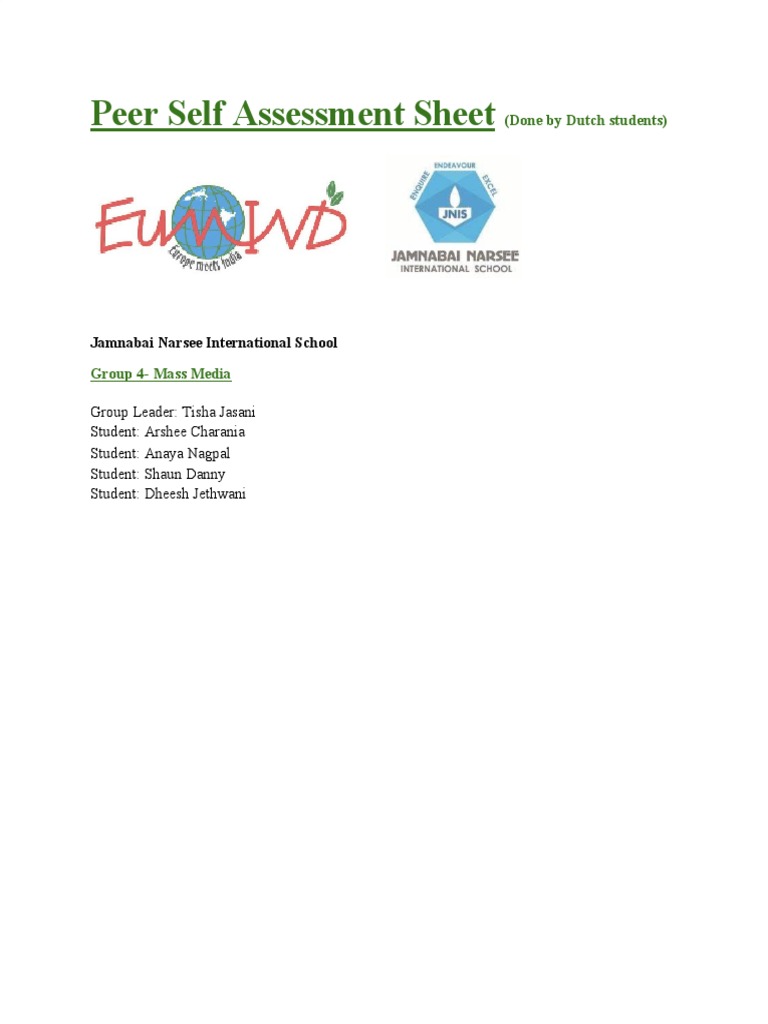 Peer Assessment for Mass Media Project | PDF | You Tube | Communication