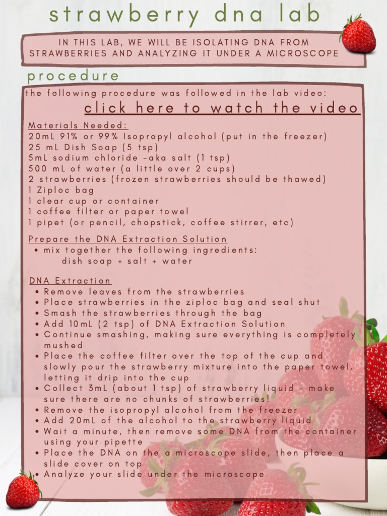 Strawberry Dna Lab | PDF | Soap | Cell (Biology)