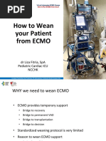 ICU One Pager Impella | PDF | Internal Medicine | Diseases And Disorders