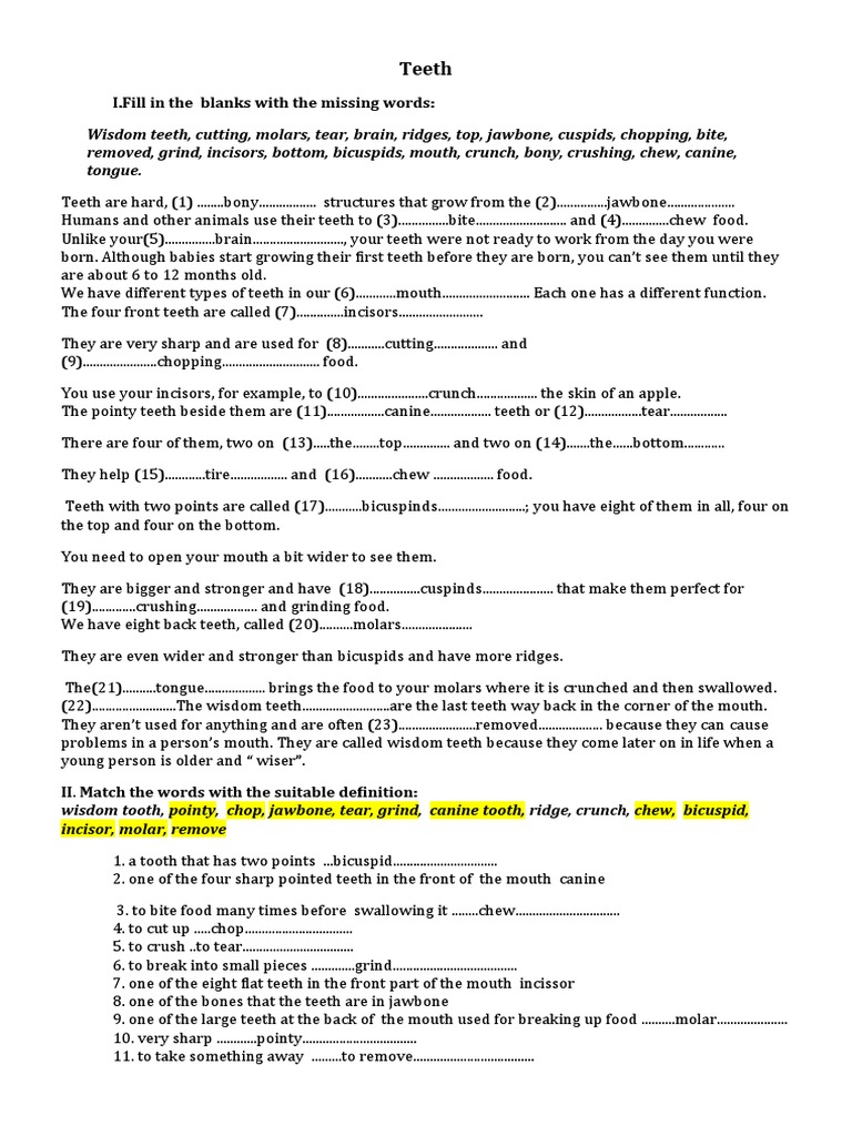 Teeth: I.Fill in The Blanks With The Missing Words | PDF | Tooth | Mouth