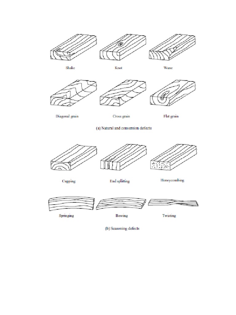 Timber Defects | PDF