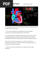 Anatomy of Heart Lesson Plan For Nursing First Year | PDF | Heart Valve ...