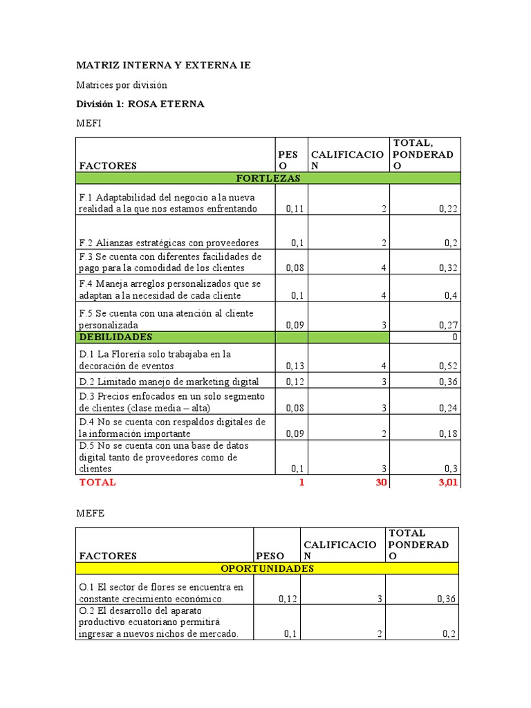 Matriz Interna y Externa Ie | PDF | Cliente | Marketing