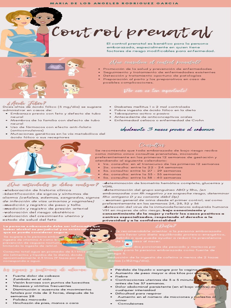 Control Prenatal y Ácido Fólico | PDF | Vitamina a | El embarazo