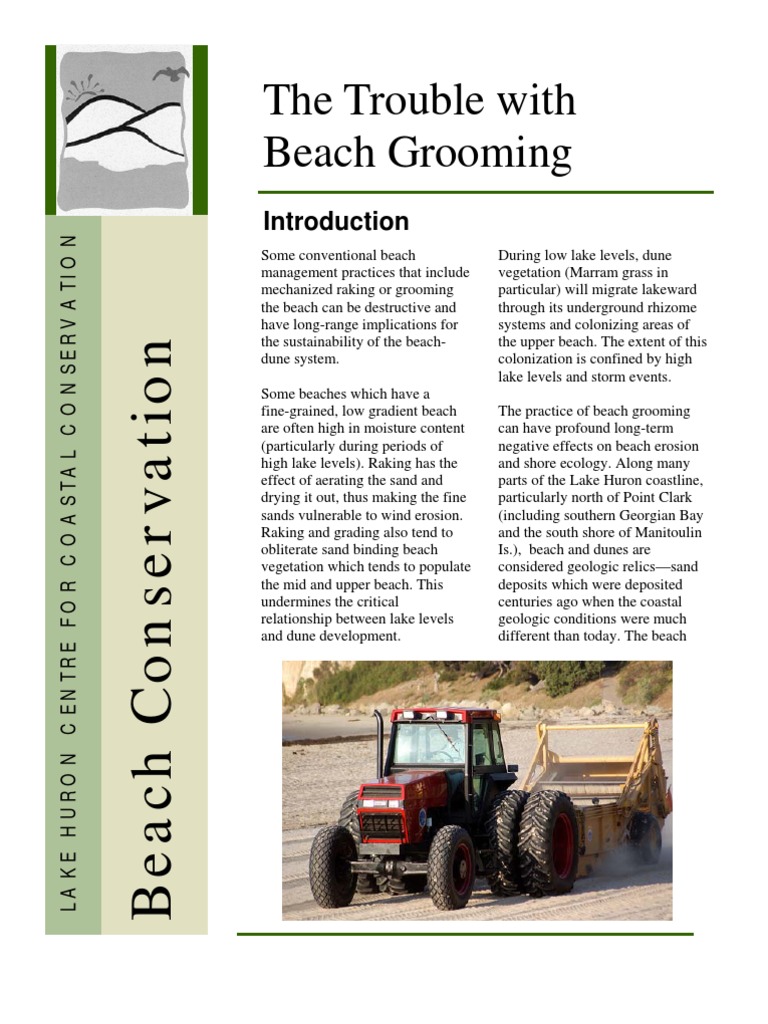 Beach Conservation - Beach Grooming | PDF | Beach | Dune