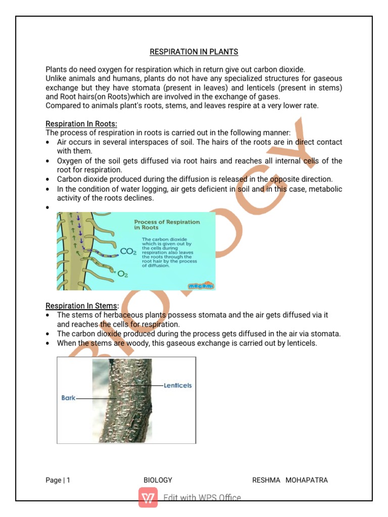 14.respiration in Plants | PDF | Biochemistry | Chemistry