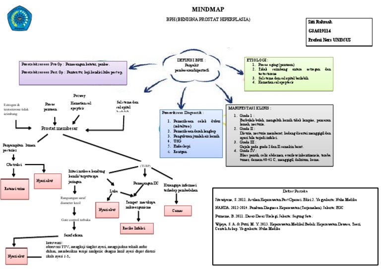 Mindmap BPH | PDF