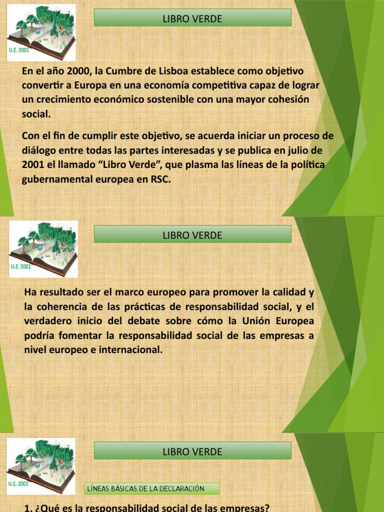 Libro Verde | PDF