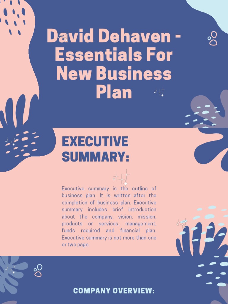 David Dehaven - Essentials For New Business Plan | PDF | Finance ...