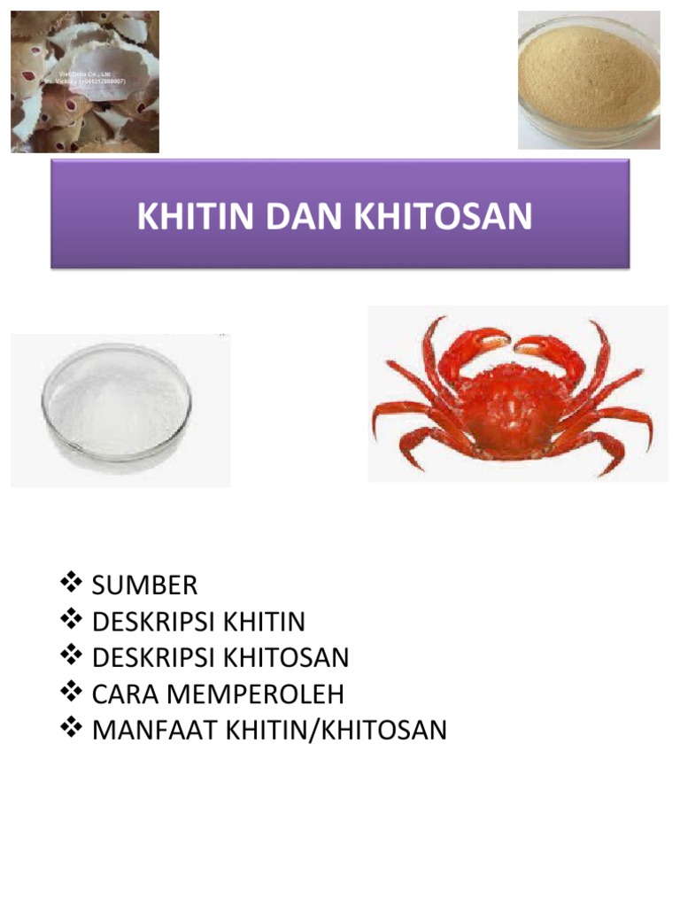 Khitin Khitosan 1 | PDF | Kesehatan Holistik | Sains & Matematika
