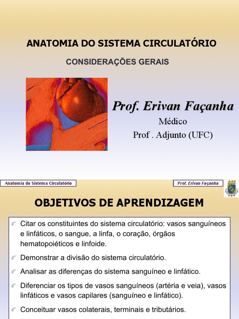 01 Anatomia Do Sistema Circulatório | PDF | Sistema linfático | Artéria