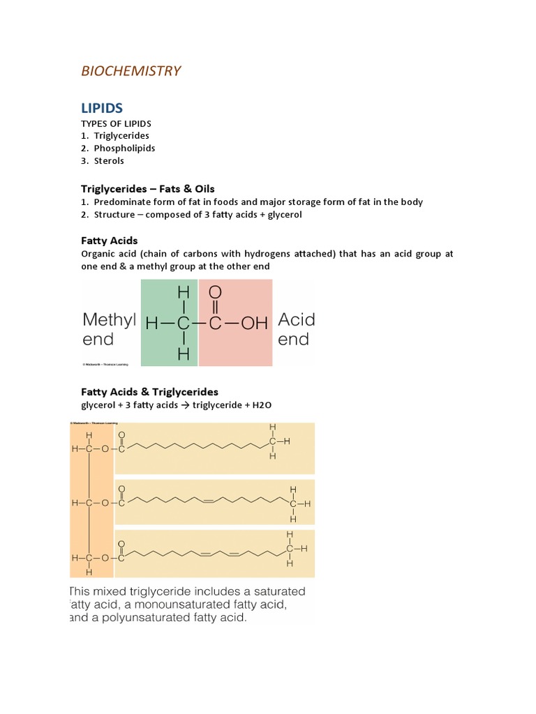BIOCHEMISTRY | PDF | Fat | Fatty Acid