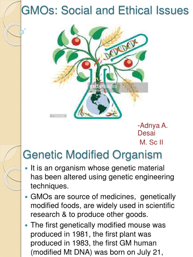 Gmos: Social and Ethical Issues: Adnya A. Desai M. SC Ii | PDF | Genetic Engineering ...