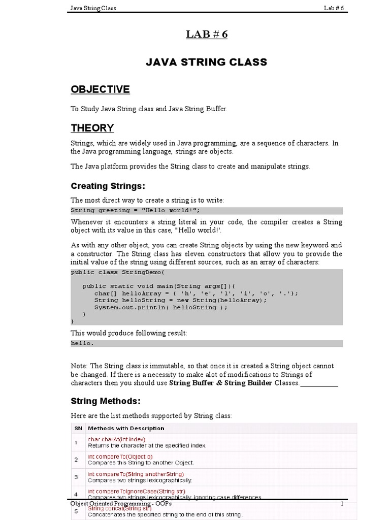 Java Lab 6 String Pdf String Computer Science Constructor 2711