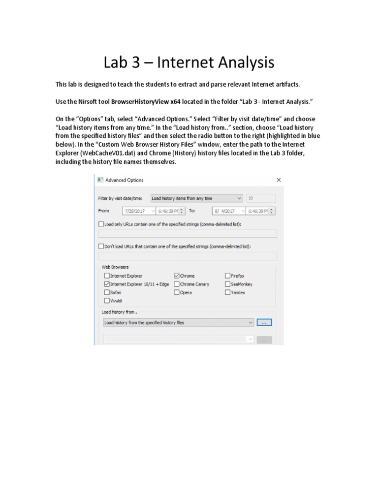 Lab 3 - Internet Analysis Lab | PDF