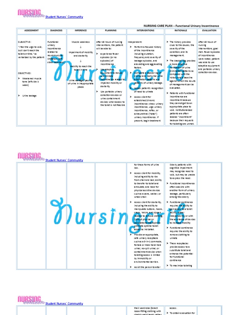 Student Nurses' Community: NURSING CARE PLAN Functional Urinary ...