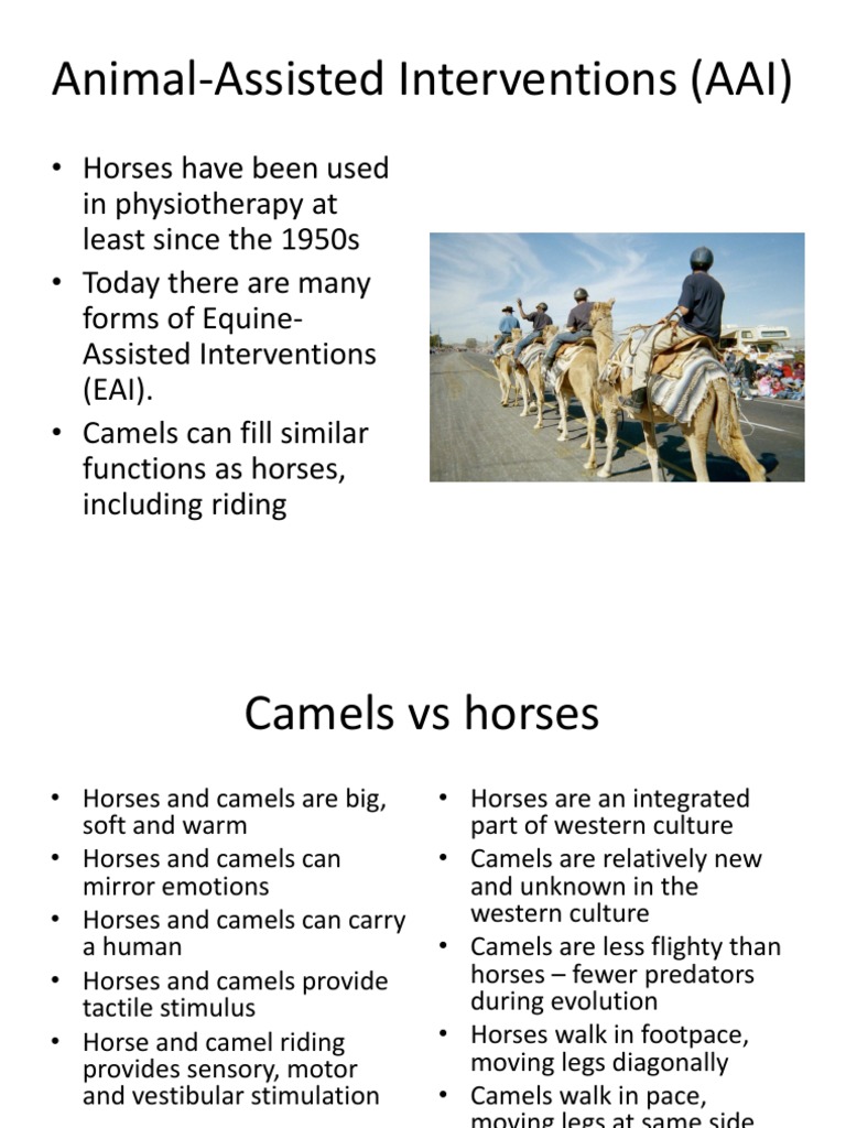 Presentation Camel Assissted Interventions | PDF | Horses | Attention ...