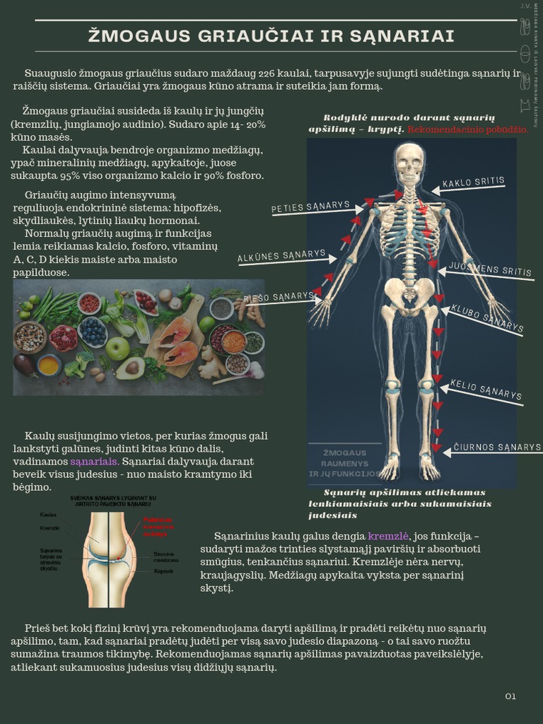 Raumenys Ir Jų Funkcijos | PDF