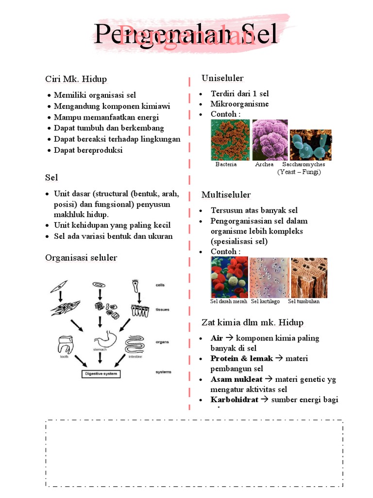 1 Pengenalan Sel | PDF