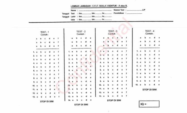 Lembar Jawaban CFIT 3 A B | PDF