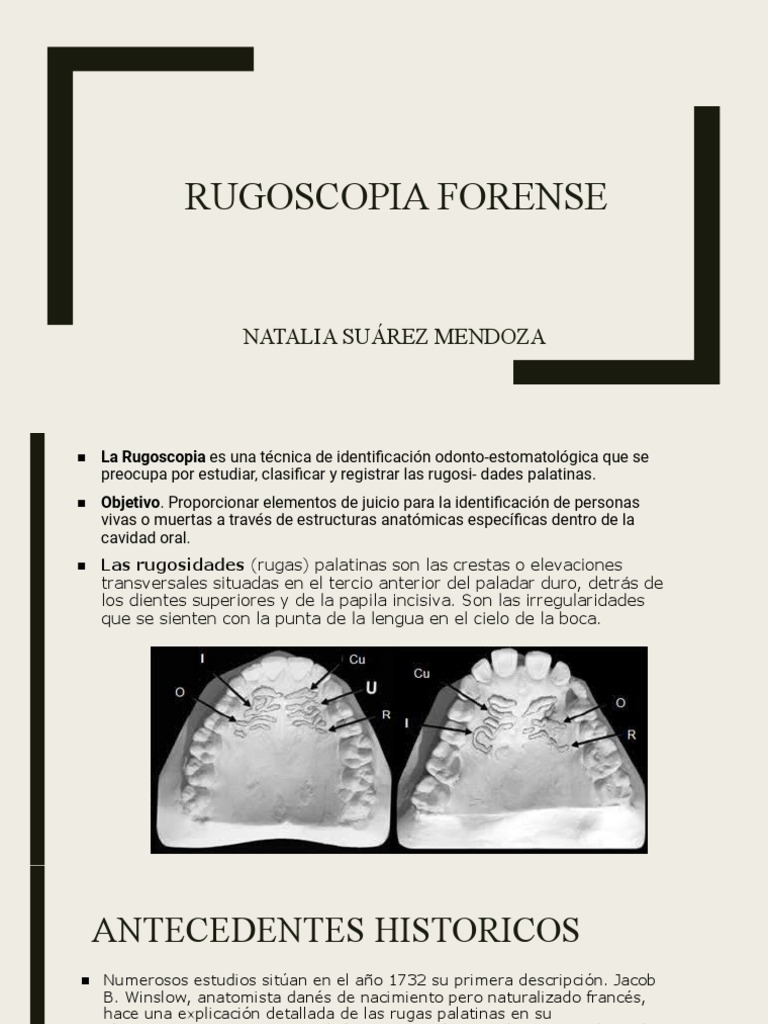 Rugos | PDF