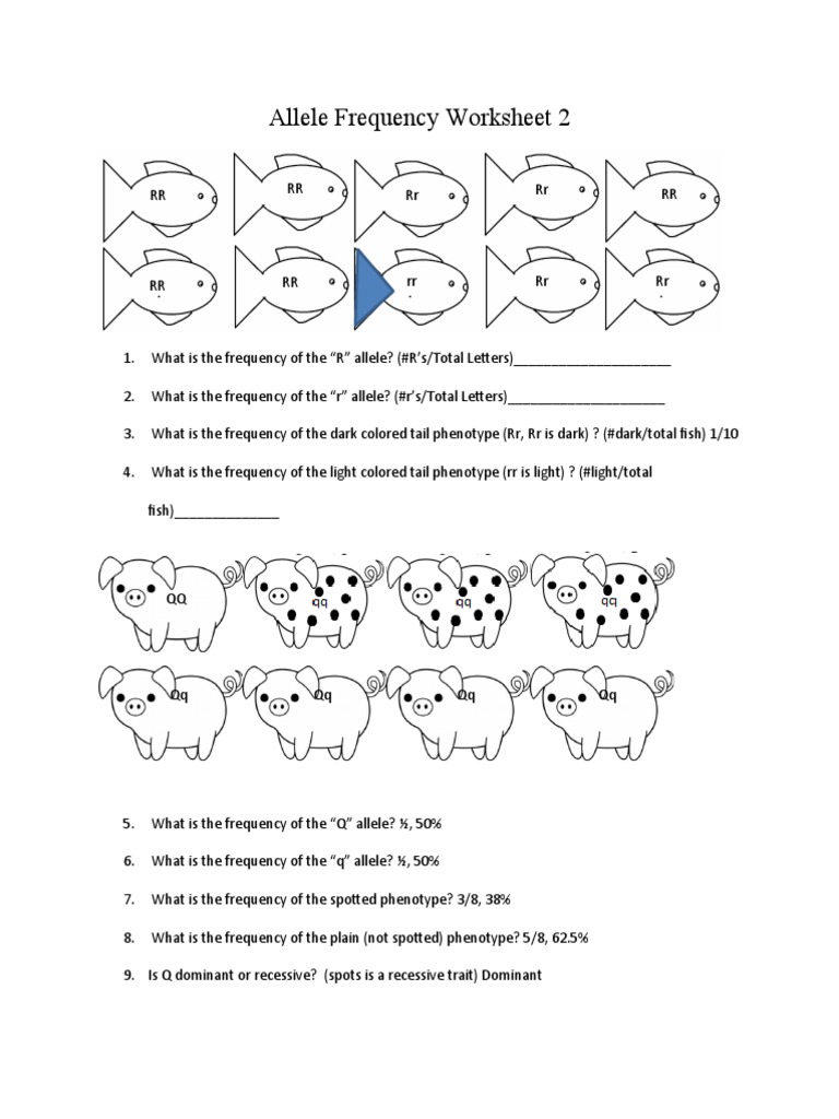 Allele Frequency Worksheet 2 | PDF | Science & Mathematics
