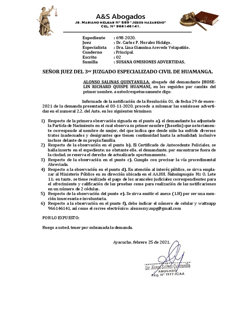 Subsanación de Demanda | PDF | Justicia | Crimen y violencia