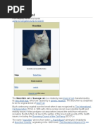 The Gluttonous Beast - StreetCatWiki | PDF | Cats