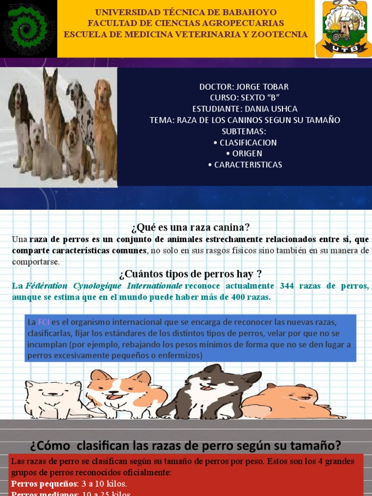 Razas de Perros | PDF | Razas de perros | Perros