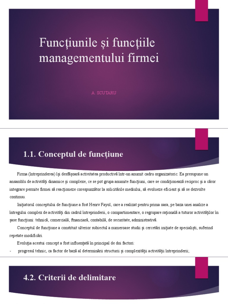 Funcțiunile Și Funcțiile Managementului Firmei | PDF
