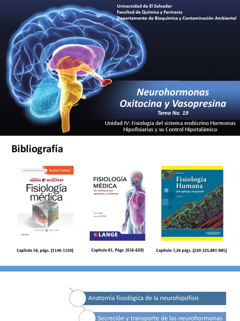 Neurohormonas 2020 | PDF | Glándula pituitaria | Sistema endocrino