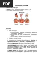 Teoría de La Matriz Funcional de Melvin Moss | PDF | Cráneo | Epigenética