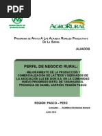 Webinar Diferencias PPR Ppro PCC | PDF | Análisis de Riesgo y Puntos ...