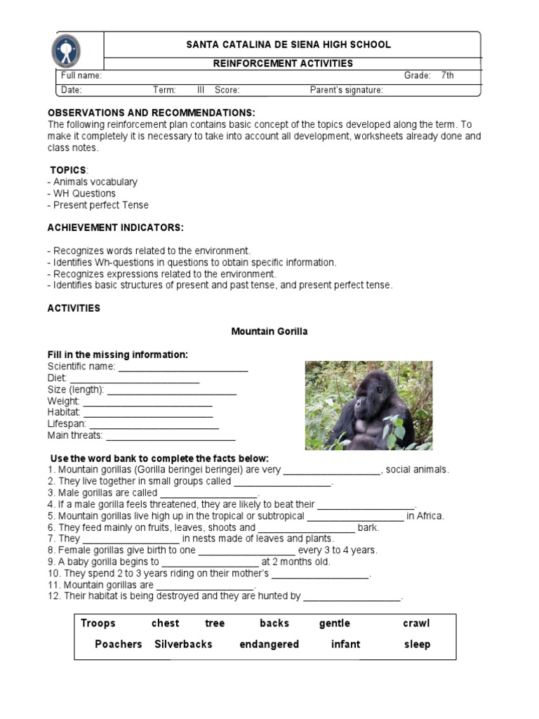 Reinforcement Activities 8th | PDF | Gorilla | Question