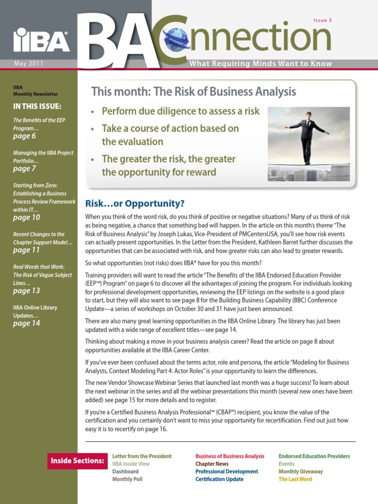 Risks in BA | PDF | Business Analysis | Risk