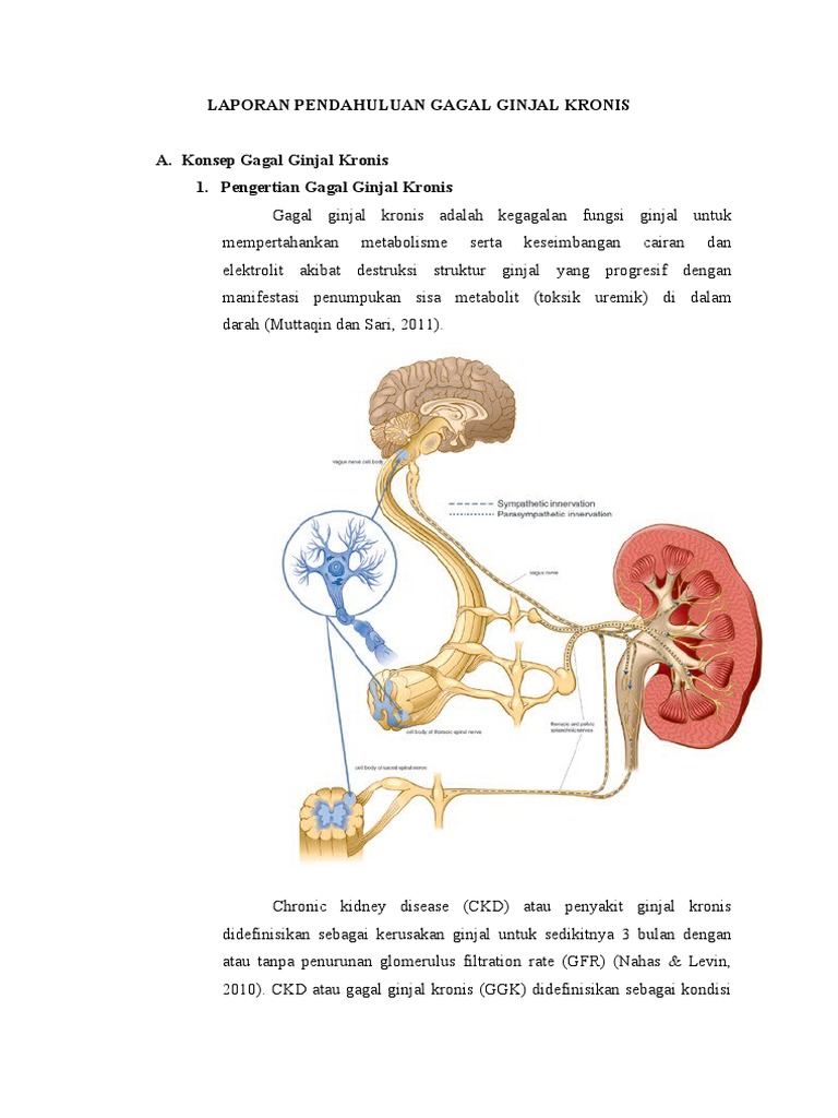 LP CKD | PDF