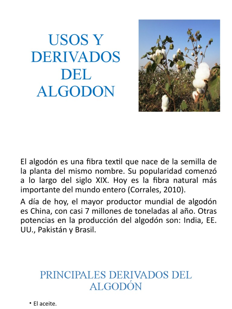 Usos y Derivados Del Algodon | PDF