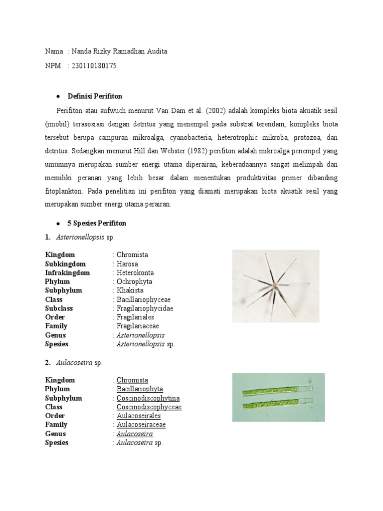 Nanda Rizky - Tugas ProdPer | PDF