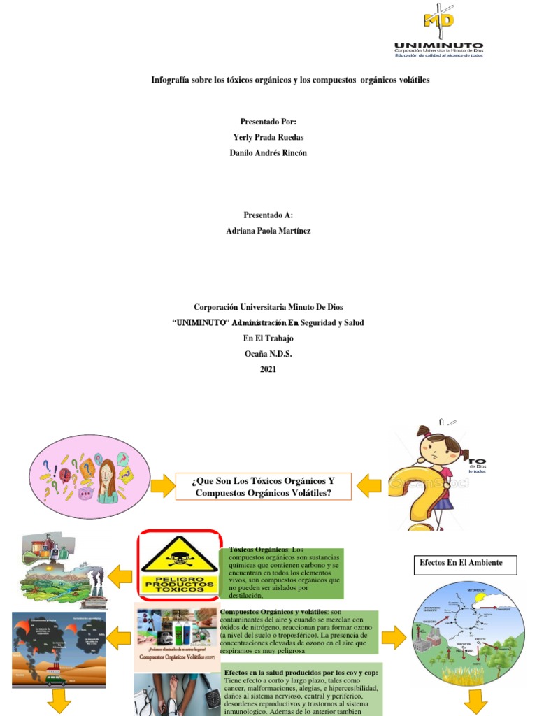 Infografia de Toxicologia Yerly-Danilo | PDF