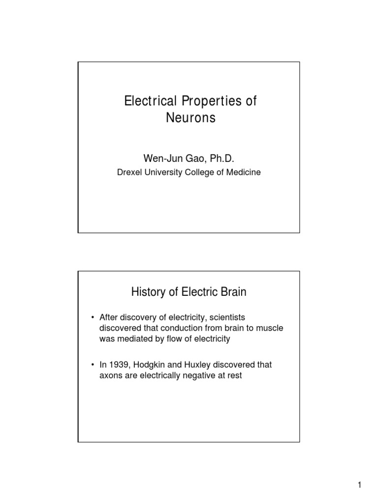 Electrical Properties of Neurons | PDF | Membrane Potential | Ion