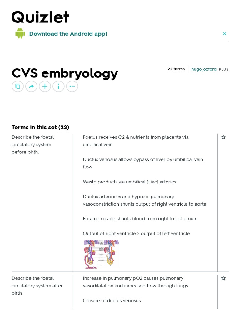 CVS Embryology Questions and Study Guide - Quizlet Flashcards by Hugo - Oxford | PDF ...