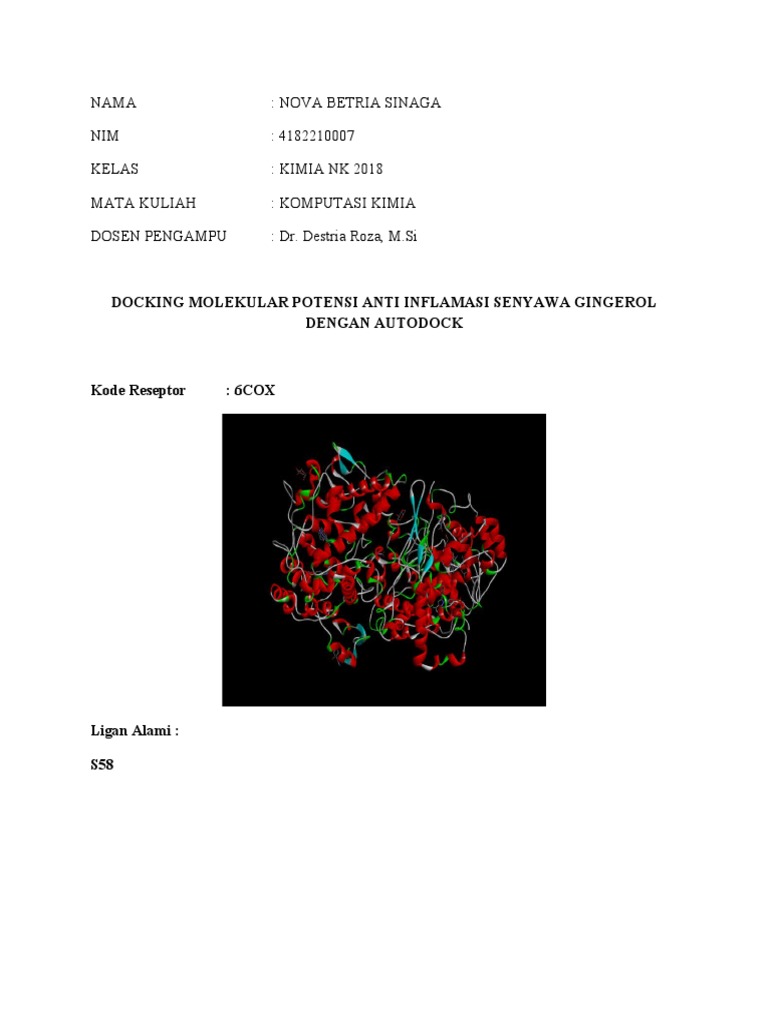 Makalah Docking | PDF