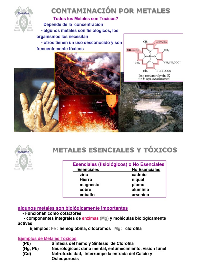 Contaminación por Metales Tóxicos | PDF | Mercurio (Elemento) | Cadmio